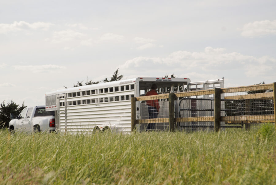 About Us | Elite Custom Aluminum Horse and Stock Trailers